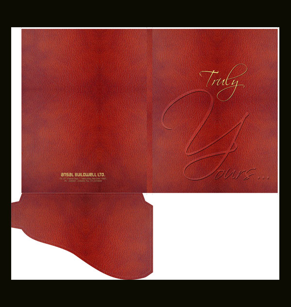 Folder Designing and Printing Services Company in Delhi, Company Folder ...